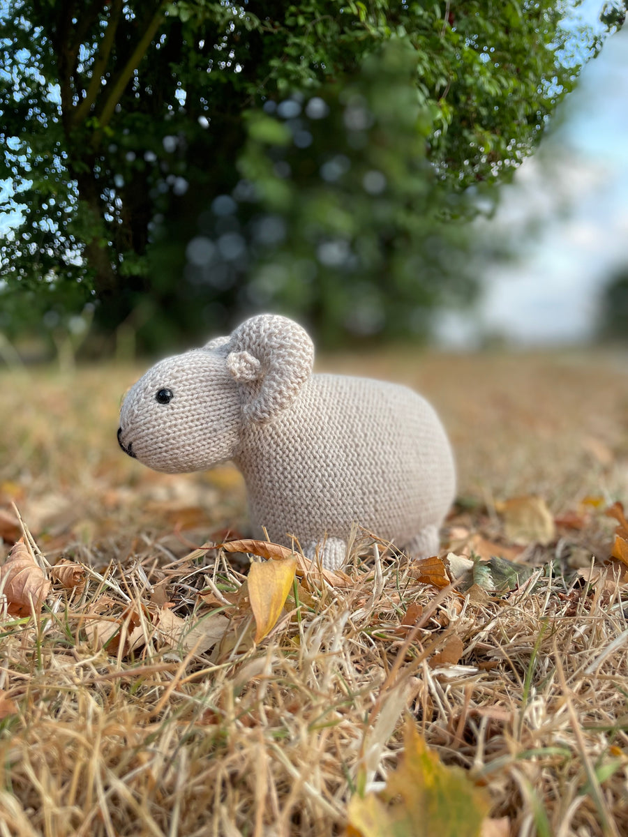 Christmas Sheep – Sue Stratford Knits