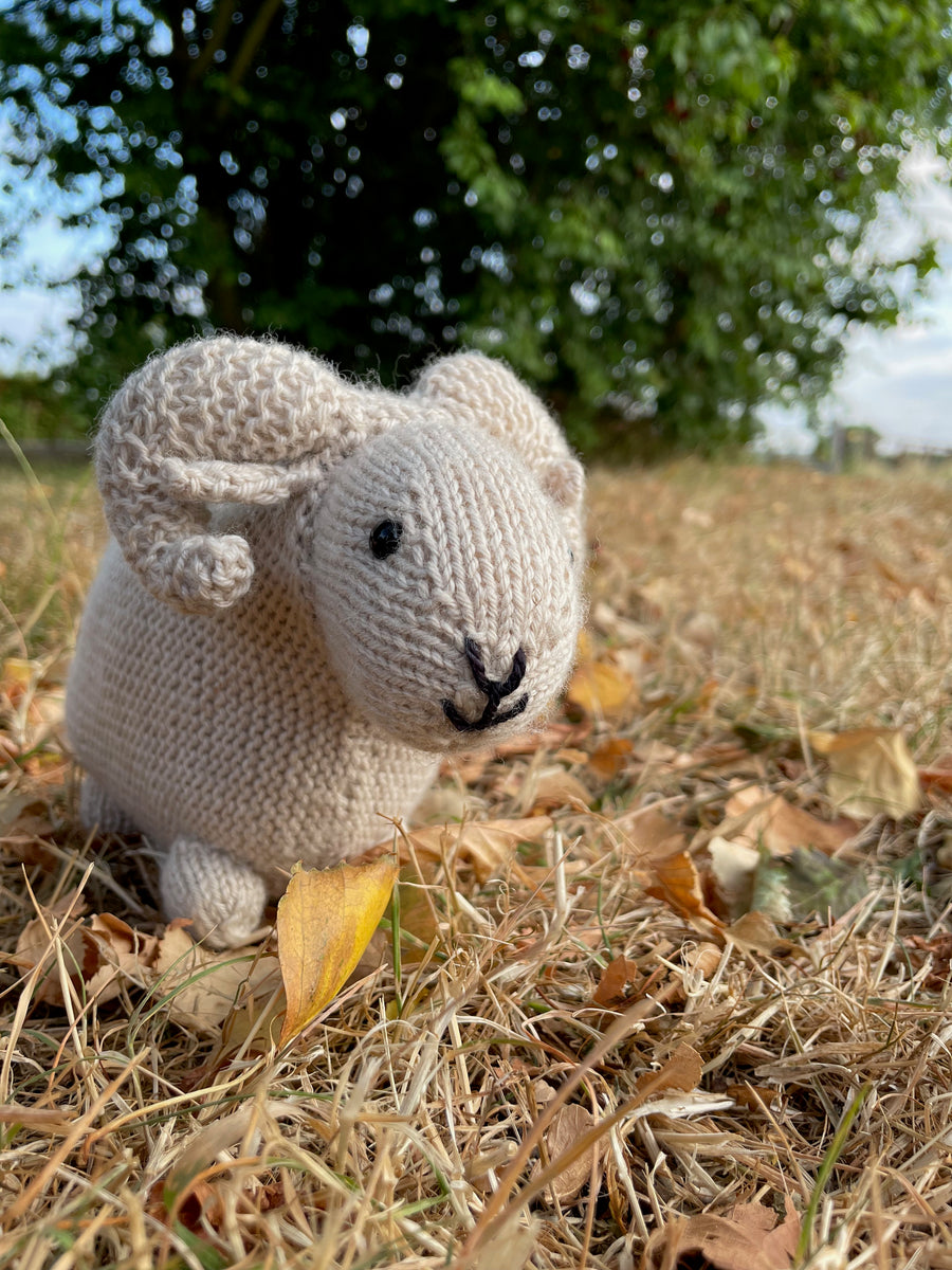 Christmas Sheep Knitting Kit – Sue Stratford Knits